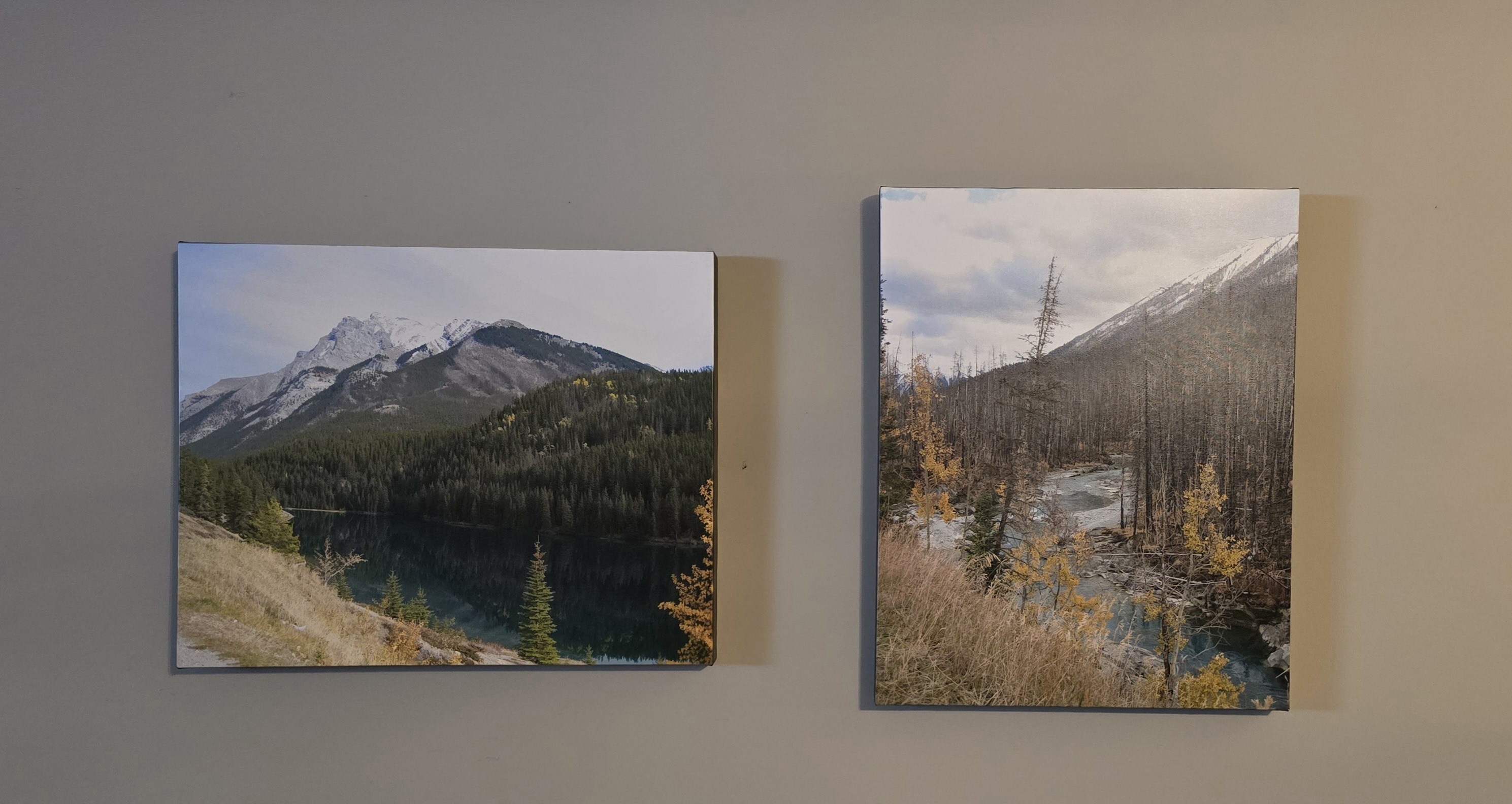 Lesley Foster – Almonte & Area Artists Association